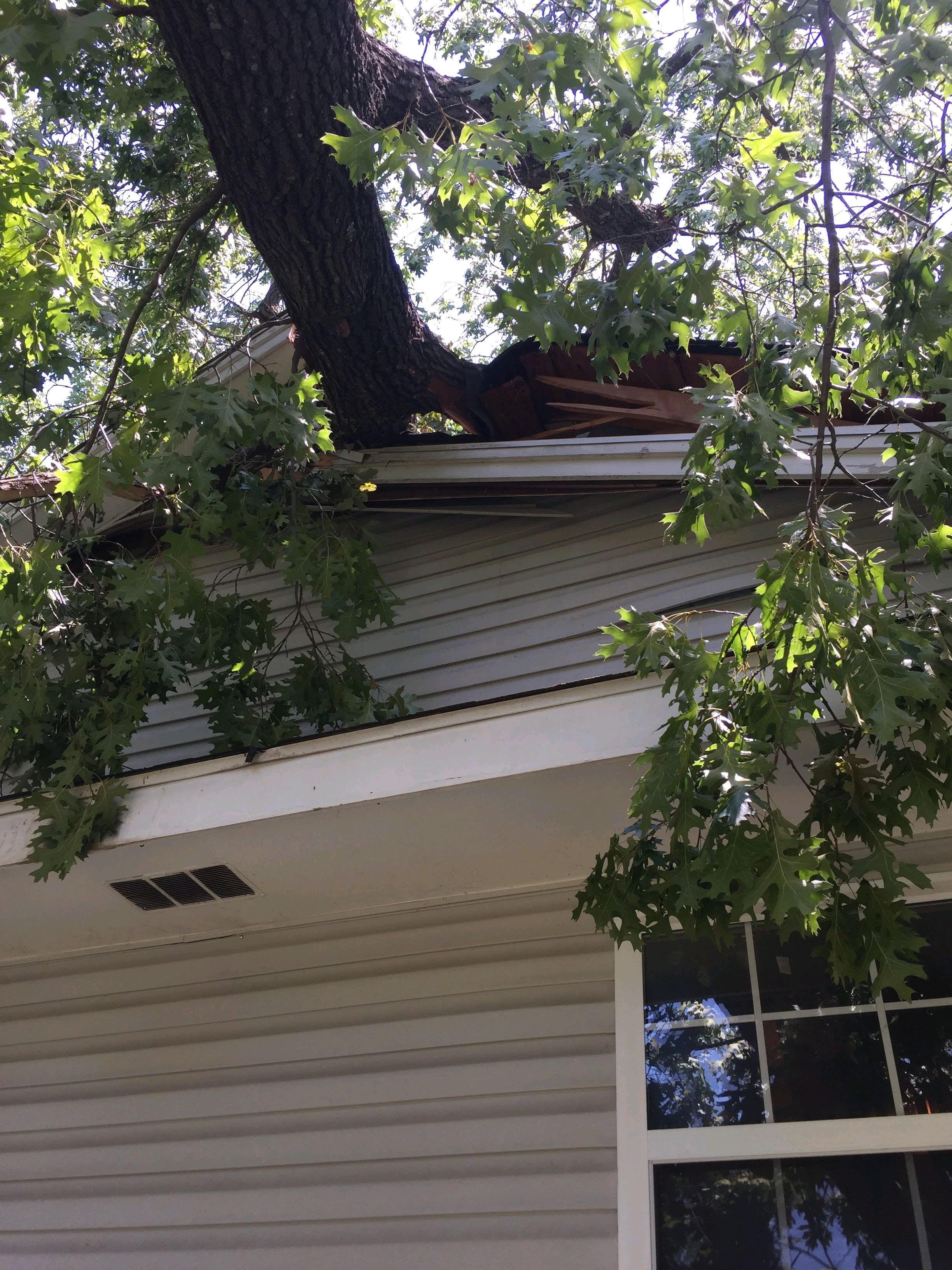 Our Work Gallery | Livingston's Lawn and Tree Service