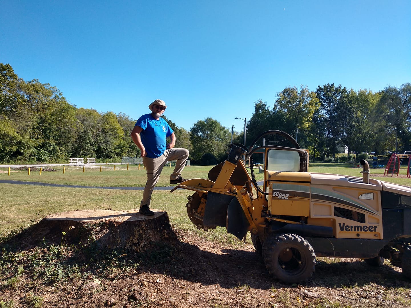 Stump Grinding and Stump Removal | Livingston's Lawn and Tree Service