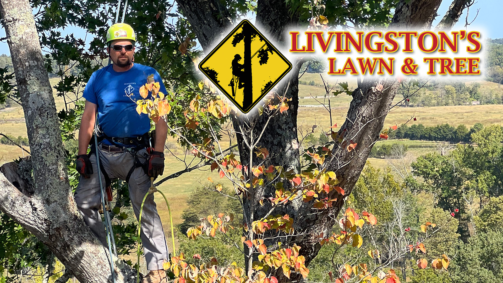 Our Work Gallery | Livingston's Lawn and Tree Service